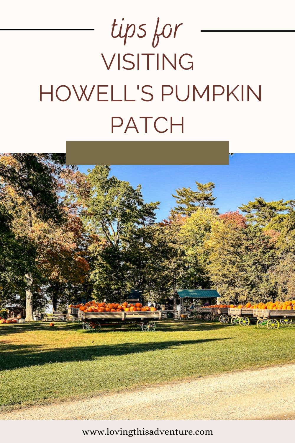 Howell's Pumpkin Patch: Your Family's Fall Adventure Guide - Loving ...