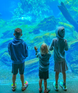5 Expert Tips for Visiting Omaha’s Henry Doorly Zoo with Kids - Loving ...