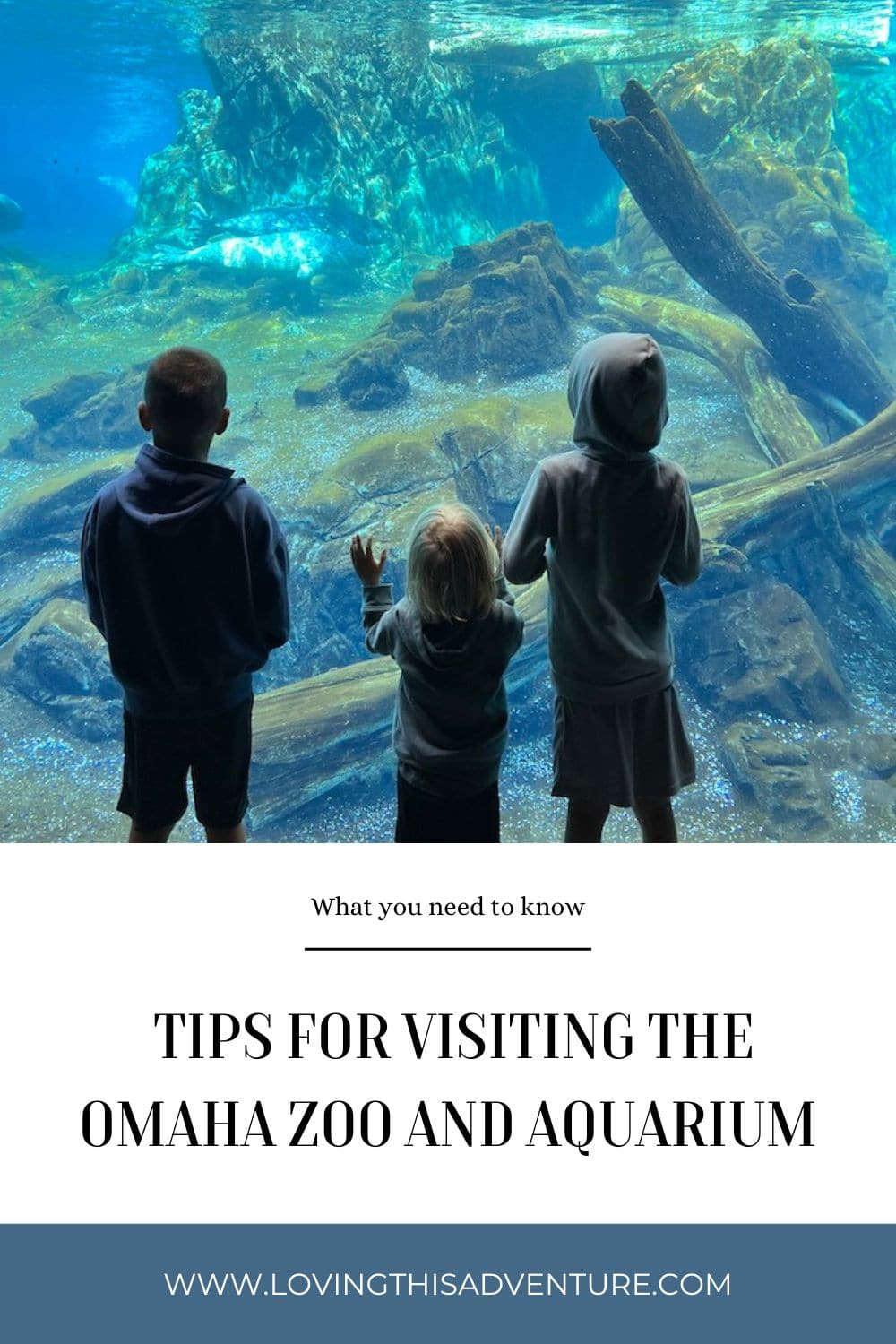 Visiting the Omaha Zoo and Aquarium - Loving This Adventure