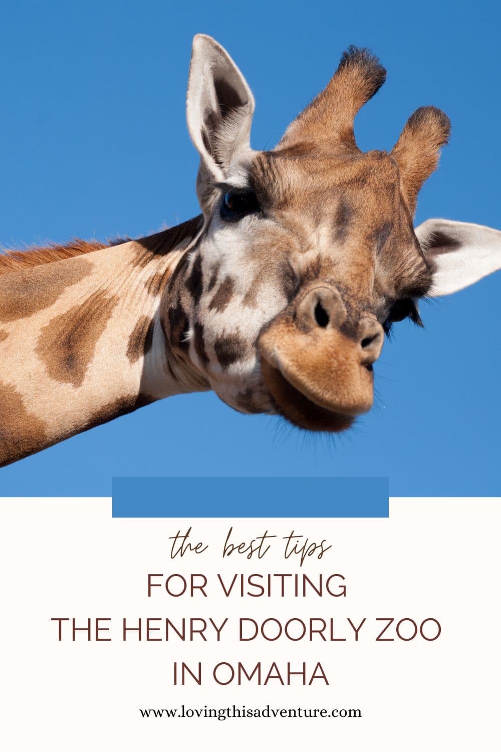 Visiting the Omaha Zoo and Aquarium - Loving This Adventure