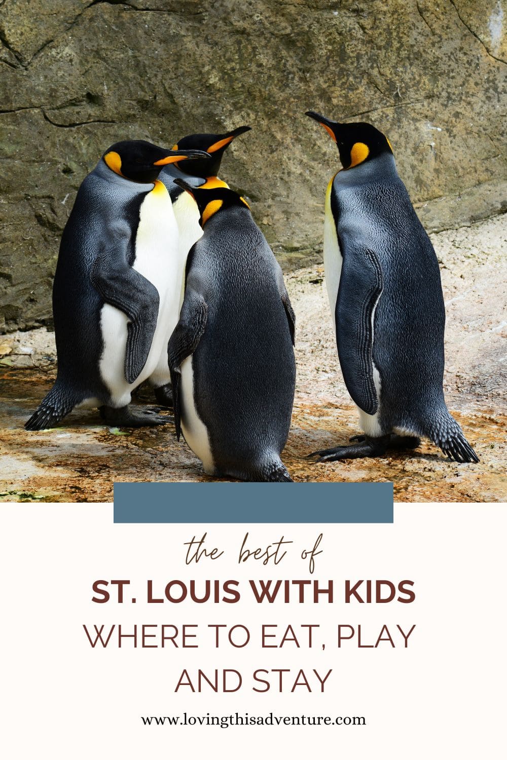 St. Louis Family Vacation - Loving This Adventure