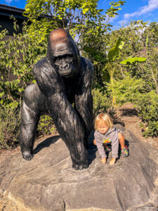 5 Expert Tips for Visiting Omaha’s Henry Doorly Zoo with Kids - Loving This Adventure
