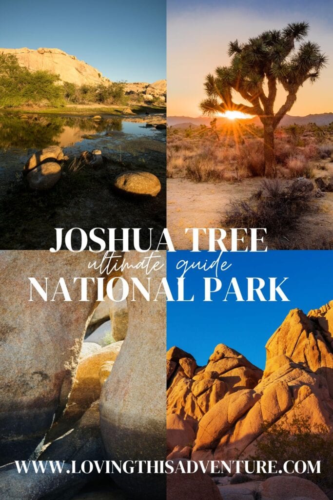 Joshua Tree with Kids: Ultimate Guide to Joshua Tree National Park ...