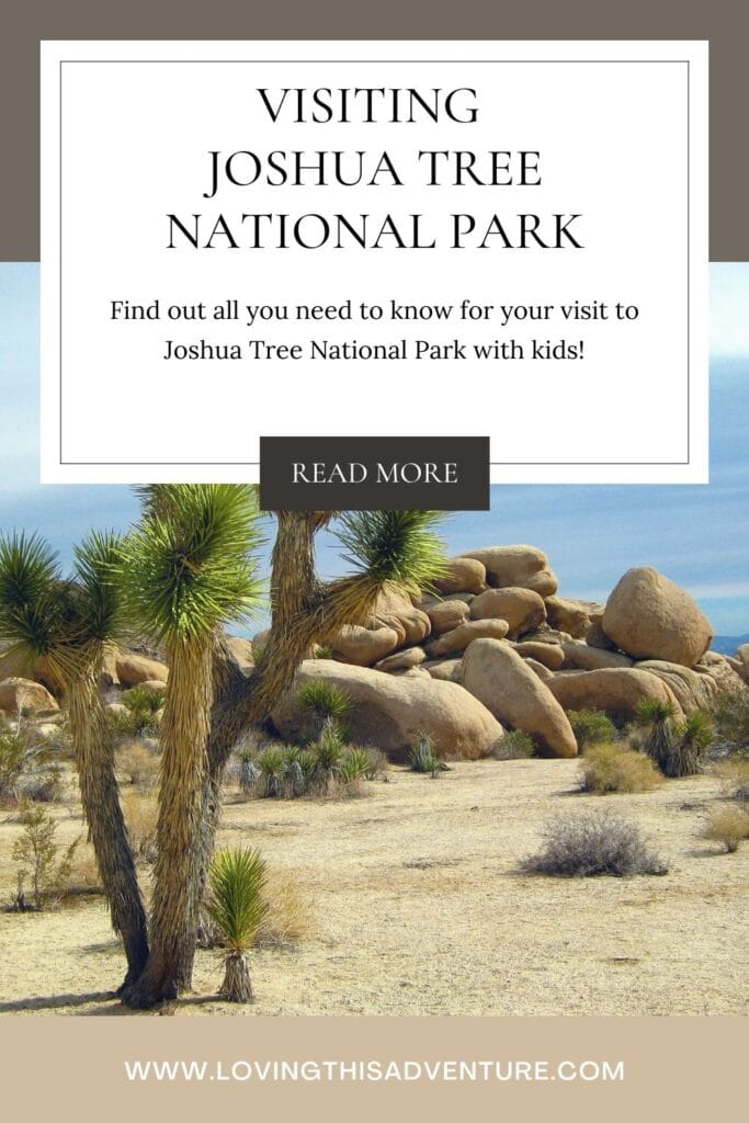 Joshua Tree with Kids: Ultimate Guide to Joshua Tree National Park ...