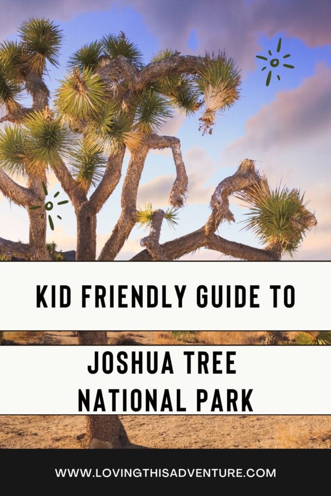 Ultimate Guide to Joshua Tree National Park with Kids - Loving This ...