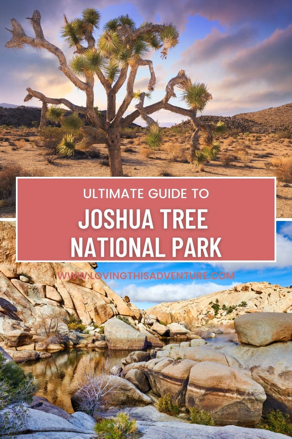 Ultimate Guide to Joshua Tree National Park with Kids - Loving This ...