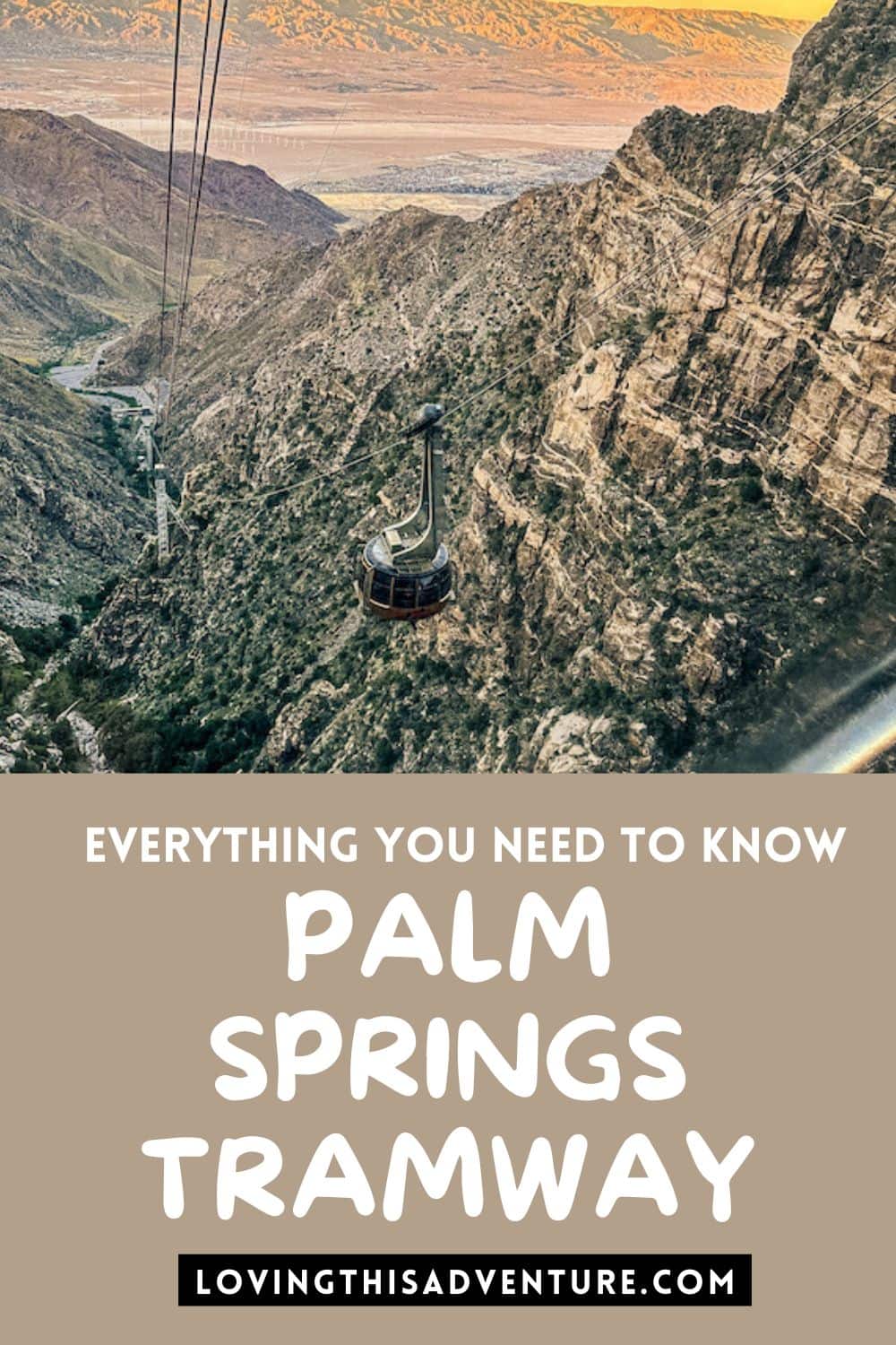 Palm Springs Aerial Tramway: Tips for Visiting with Kids - Loving This ...