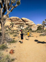 Ultimate Guide to Joshua Tree National Park with Kids - Loving This ...