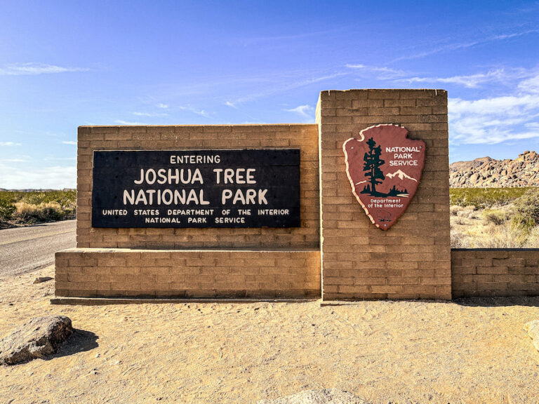 Ultimate Guide to Joshua Tree National Park with Kids - Loving This ...