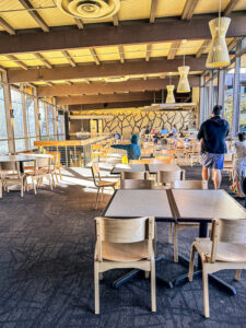 Palm Springs Aerial Tramway: Tips for Visiting with Kids - Loving This ...