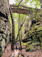 Ultimate Guide for Your Visit to Rock City - Loving This Adventure