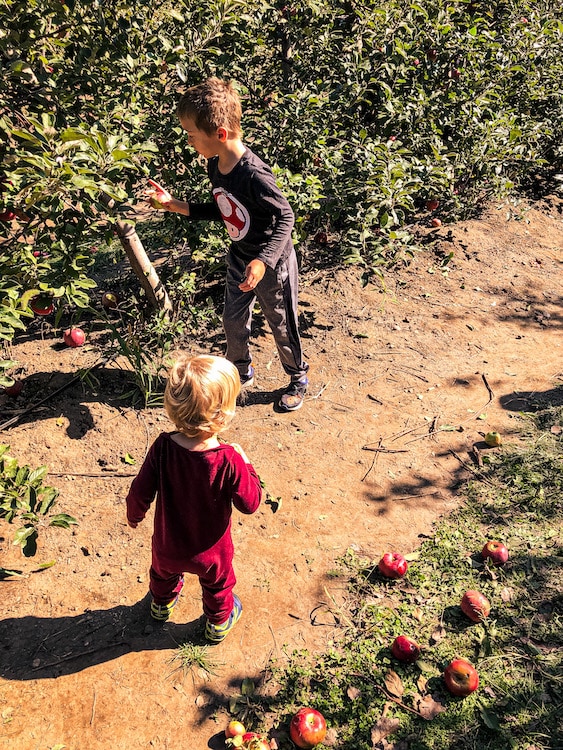 20 Adventurous Fall Bucket List Ideas for Families - Loving This Adventure