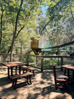 Top Things to do at Arbor Day Farm with Kids - Loving This Adventure