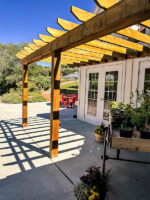 Top Things to do at Arbor Day Farm with Kids - Loving This Adventure