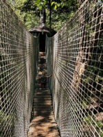 Top Things to do at Arbor Day Farm with Kids - Loving This Adventure