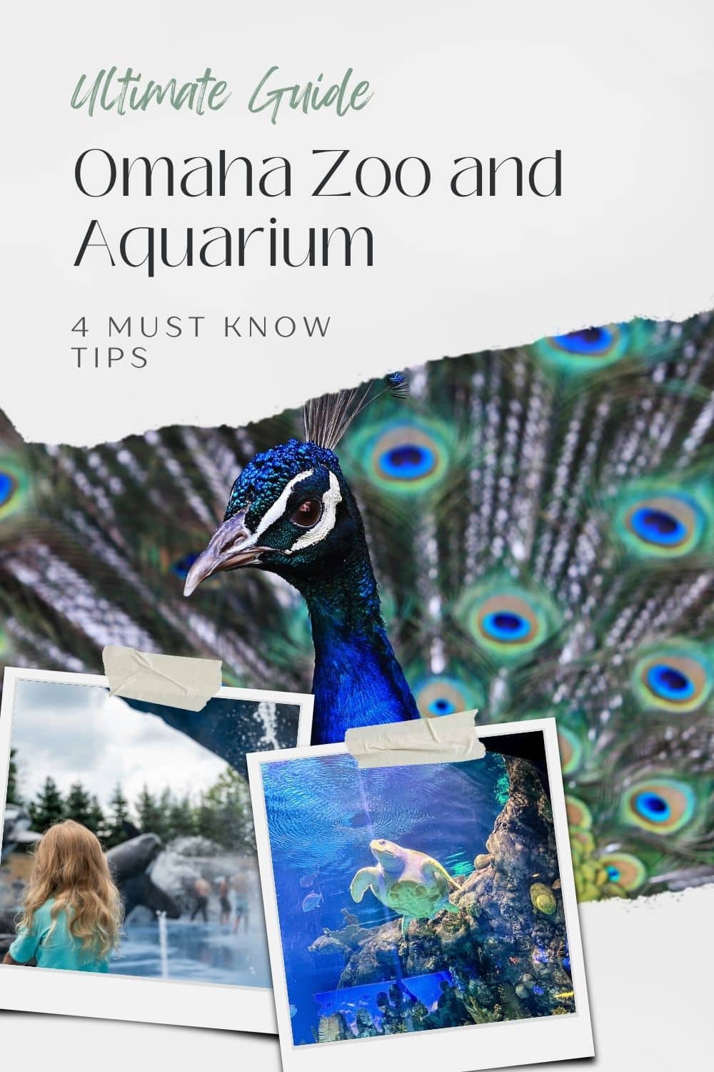 5 Expert Tips for Visiting Omaha’s Henry Doorly Zoo with Kids - Loving ...