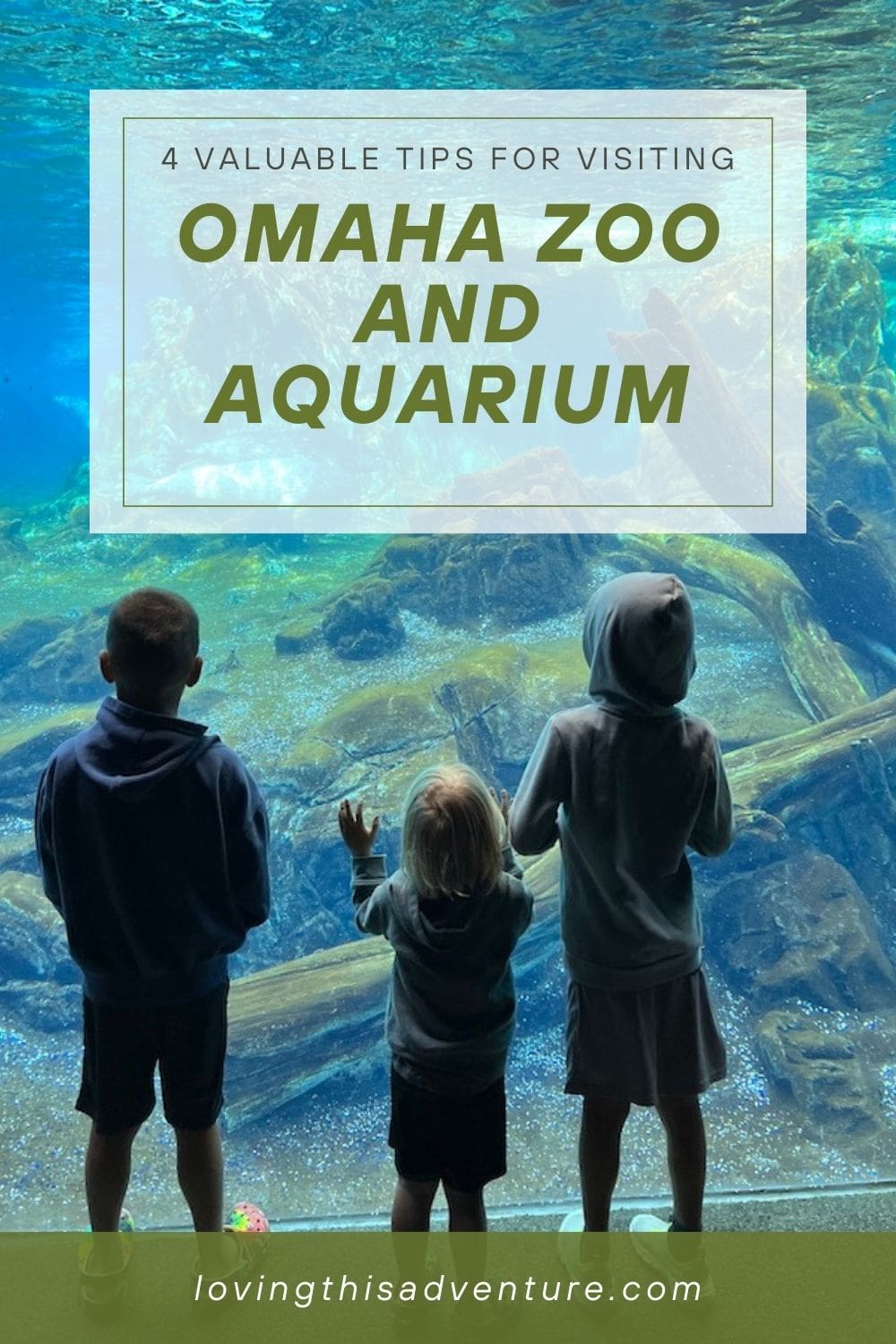 5 Expert Tips for Visiting Omaha’s Henry Doorly Zoo with Kids - Loving ...