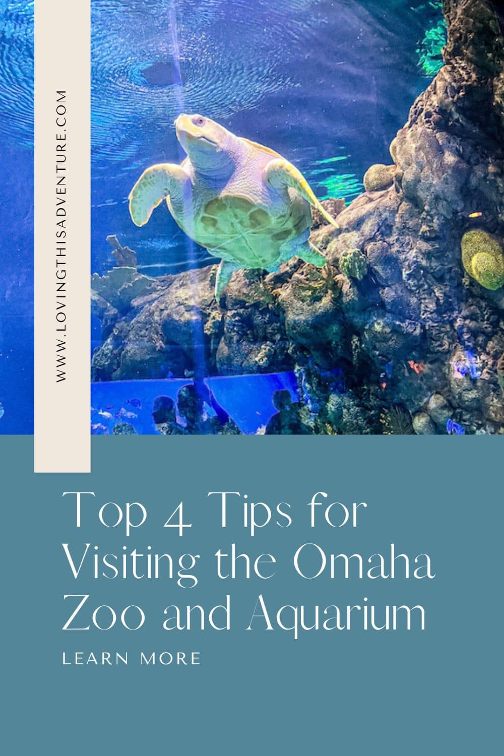 5 Expert Tips for Visiting Omaha’s Henry Doorly Zoo with Kids - Loving ...