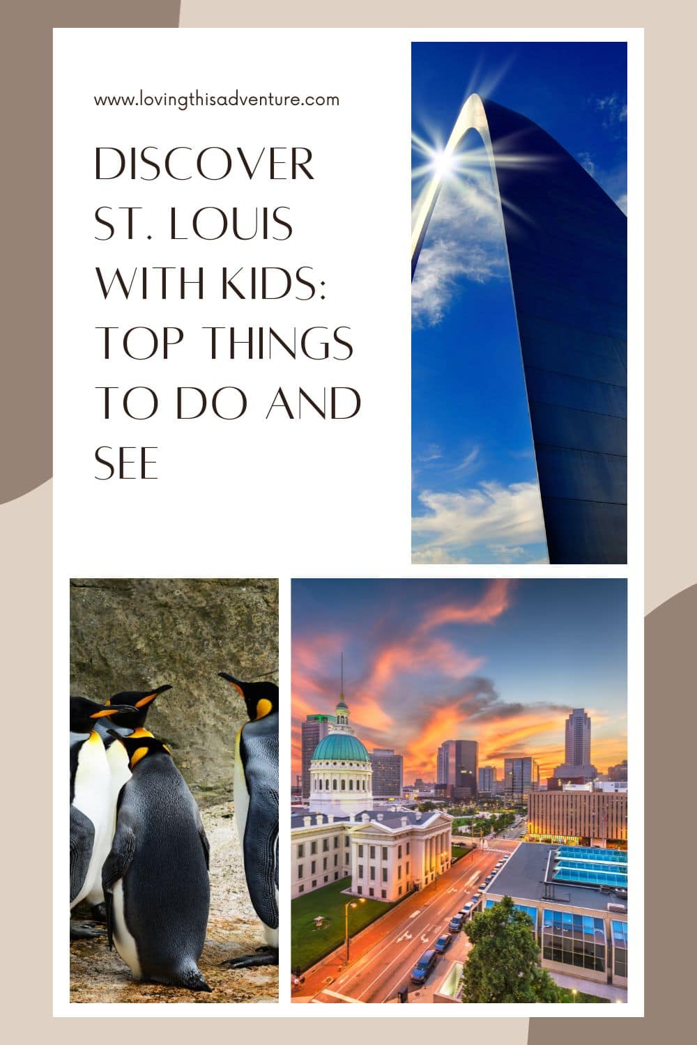 St. Louis with Kids: The Ultimate Family-Friendly Travel Guide - Loving ...