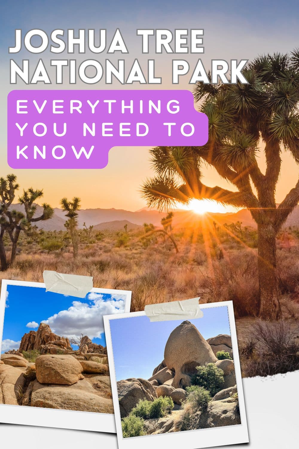 Ultimate Guide to Joshua Tree National Park with Kids - Loving This ...