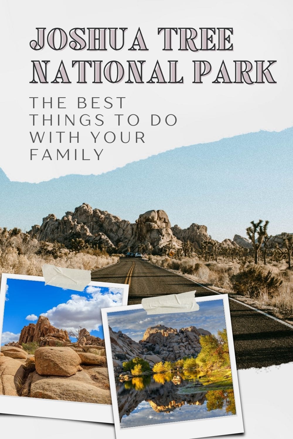 Ultimate Guide to Joshua Tree National Park with Kids - Loving This ...