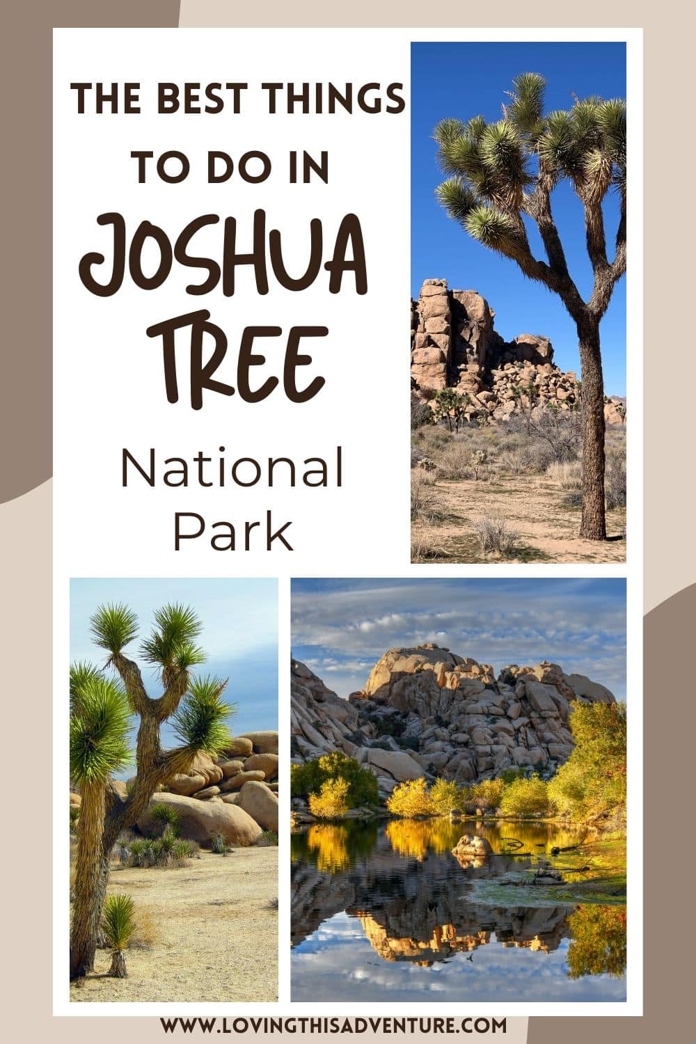Ultimate Guide to Joshua Tree National Park with Kids - Loving This ...