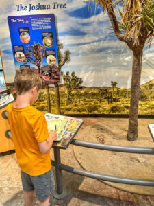 Ultimate Guide to Joshua Tree National Park with Kids - Loving This ...