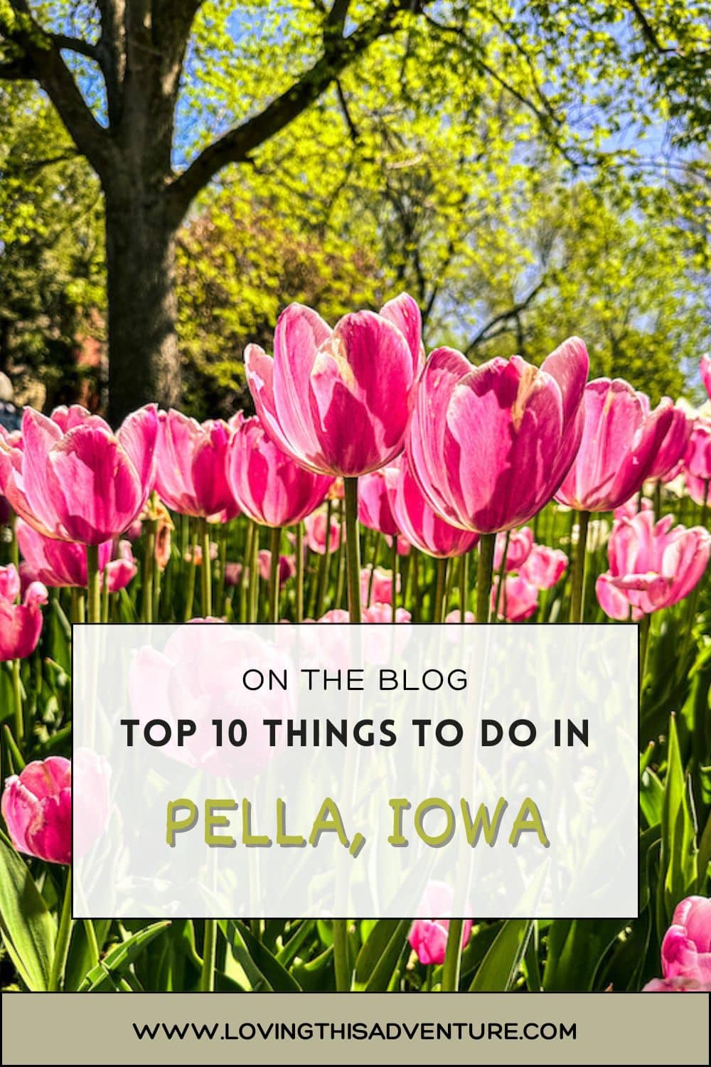 Pella, Iowa with Kids: 15 Family-Friendly Things to Do - Loving This ...