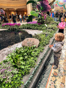 The Ultimate 4-Day Las Vegas Itinerary for Your Family - Loving This ...