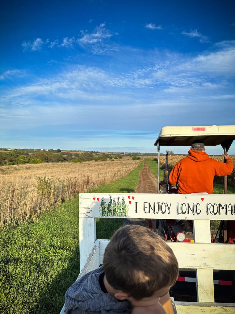 Ultimate Fall Family Bucket List: 20 Must-Do Activities this Autumn ...