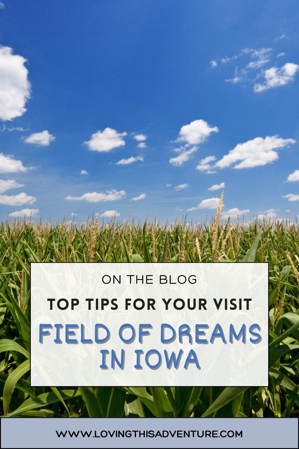 Field of Dreams in Iowa: A Complete Guide for Your Family - Loving This ...