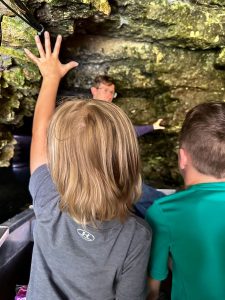 Spook Cave Iowa: Ultimate Family Guide to This Unique Cave Boat Tour ...